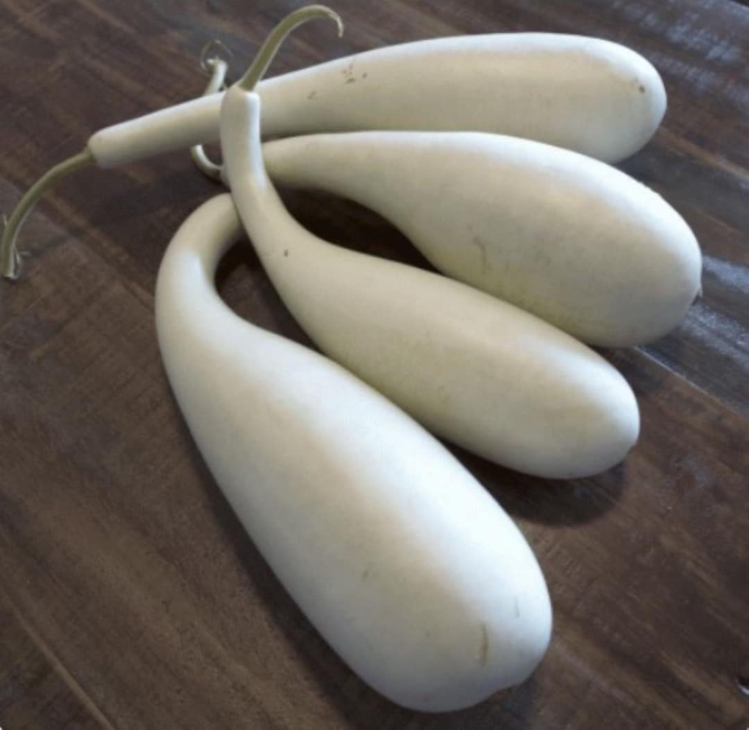 10 Calabash Gourd Seeds - Bottle Gourd - Asian - Squash - Grown ...
