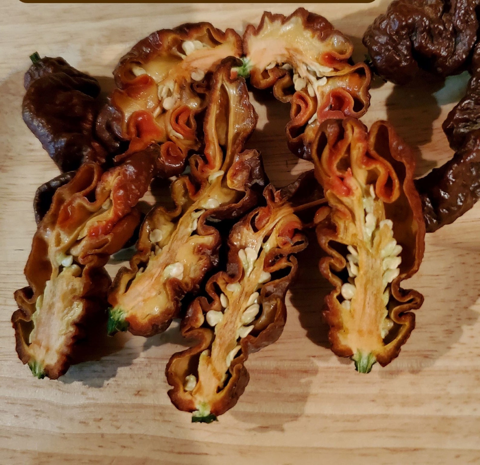 10 Premium Chocolate Primotalii Pepper Seeds - Atomic ! Grown in USA ...