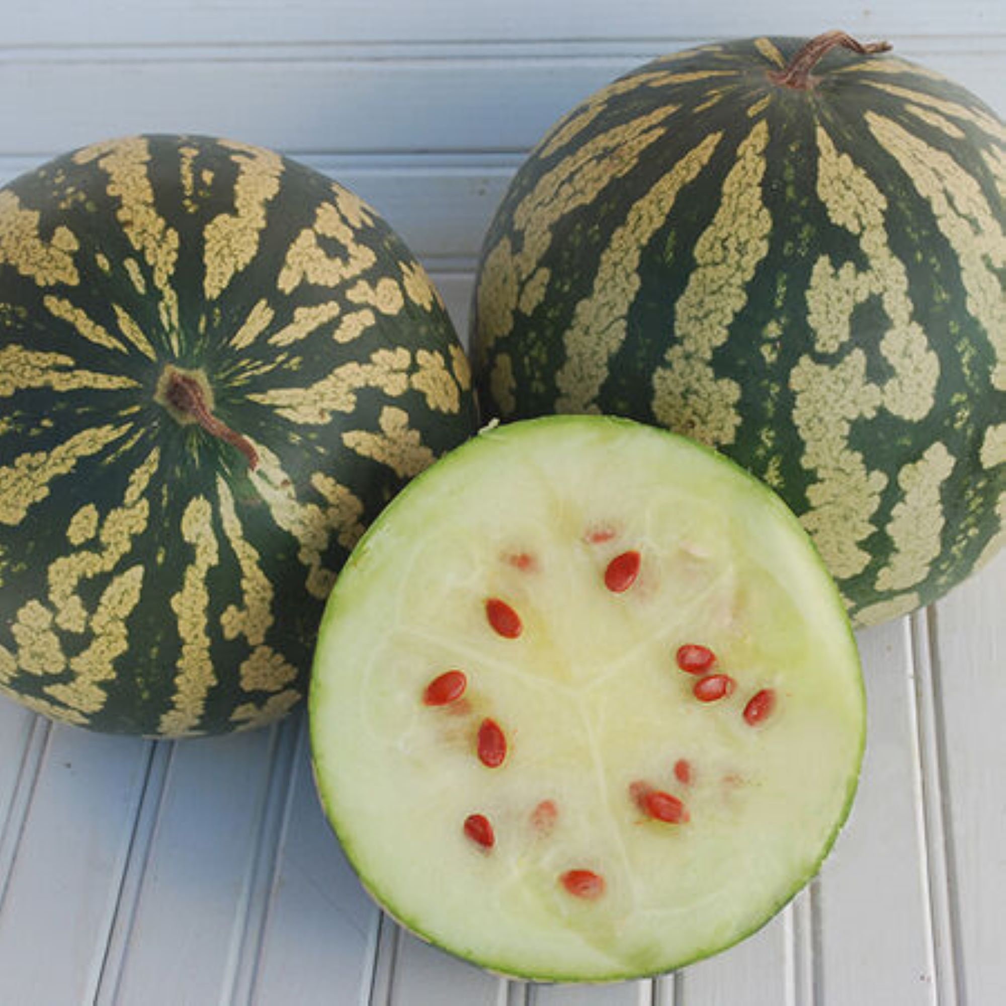 One Watermelon Seed