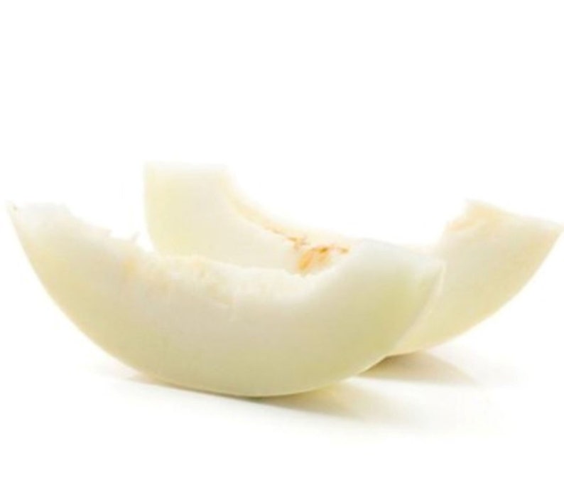 10 Portuguese Branco Do Ribatejo Melon Seeds - Unique ! Sweet ! Grown ...