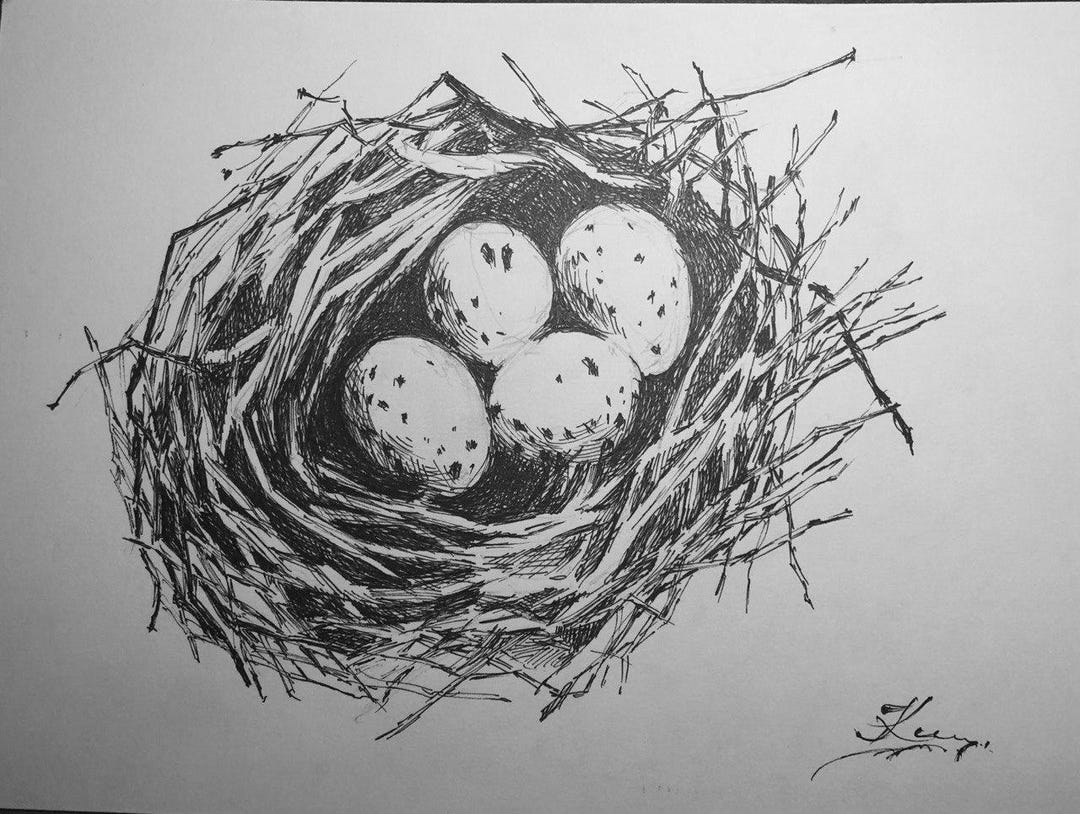 Eggs Ink Painting Original Art Eggs Pen Drawing Eggs Artwork Still Life ...