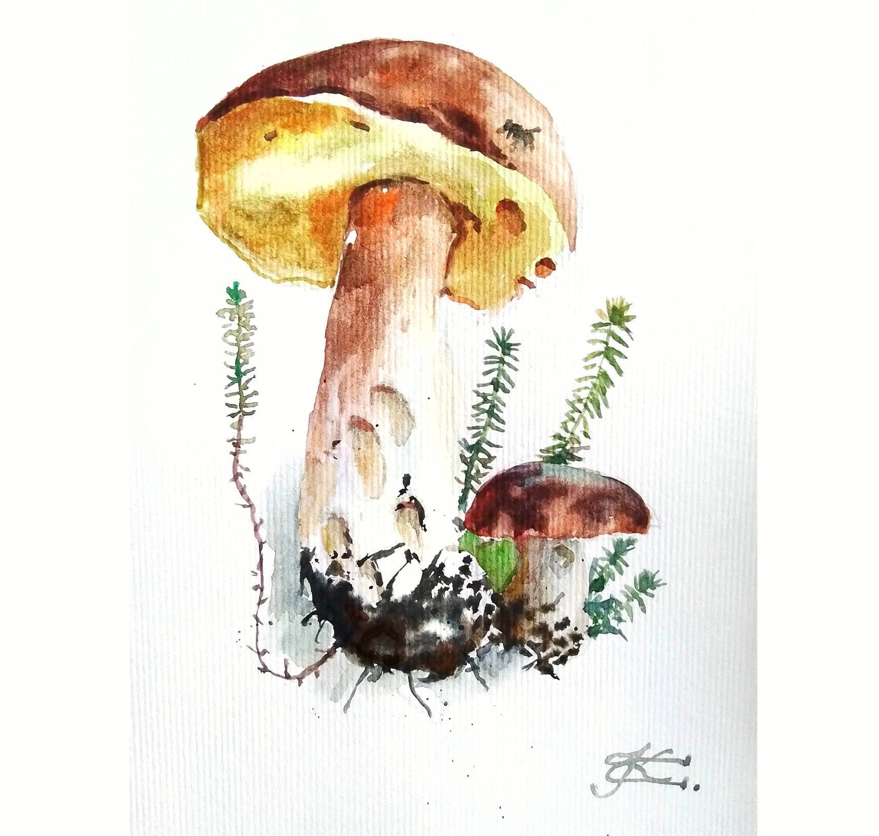 Mushroom Watercolor Original Art Mushroom Painting Fly Agaric Artwork ...