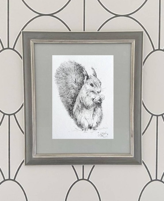 White Pen And Ink Squirrel