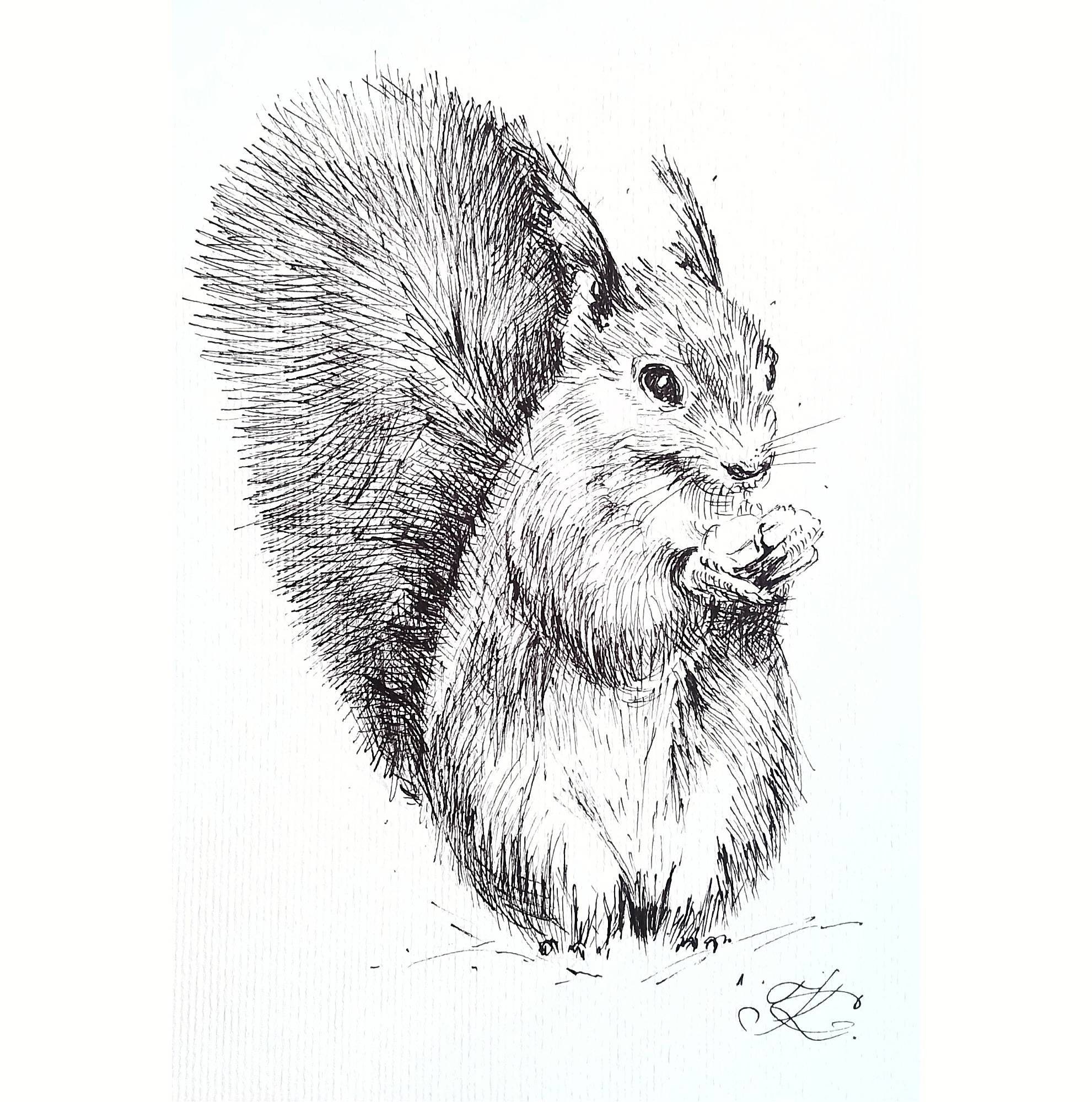 Squirrel Ink Painting Original Art Squirrel Pen Drawing Squirrel ...