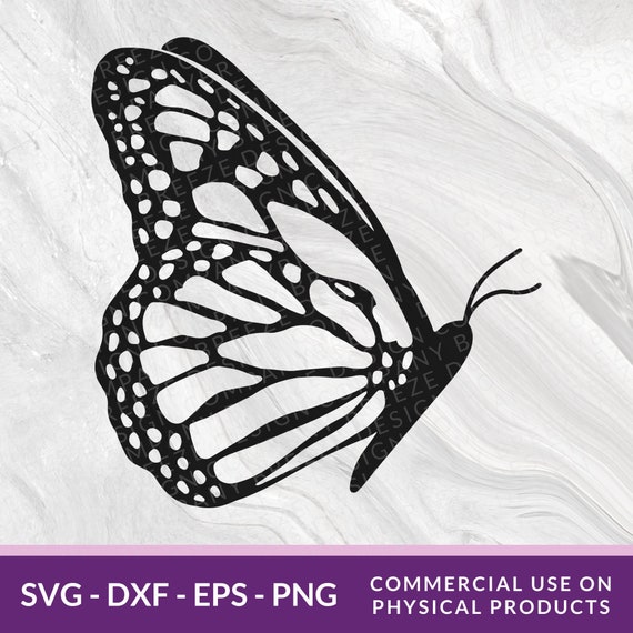 Butterfly SVG Butterflies SVG Butterfly PNG Butterfly | Etsy