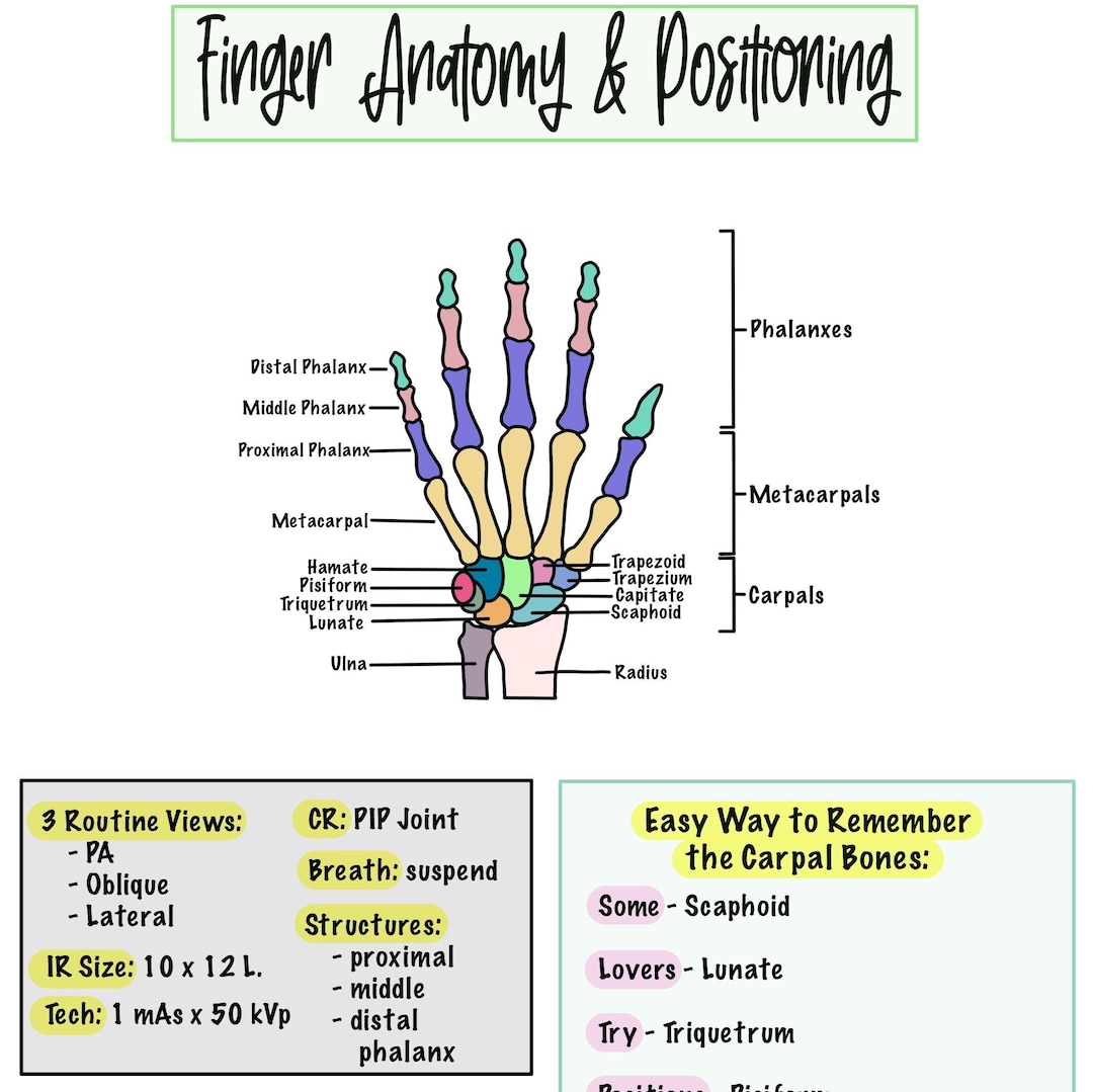 Finger Cheat Sheet - Etsy