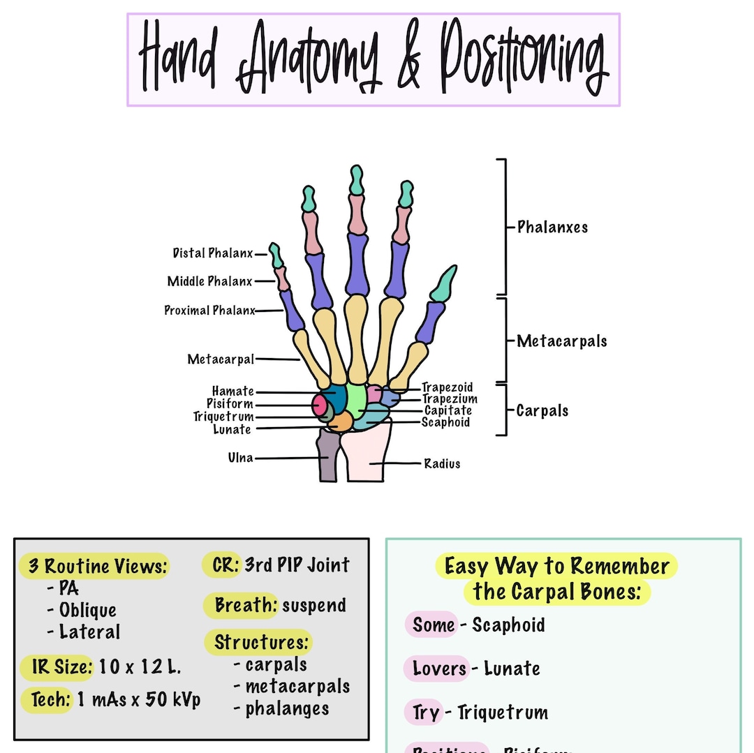 Hand Cheat Sheet - Etsy