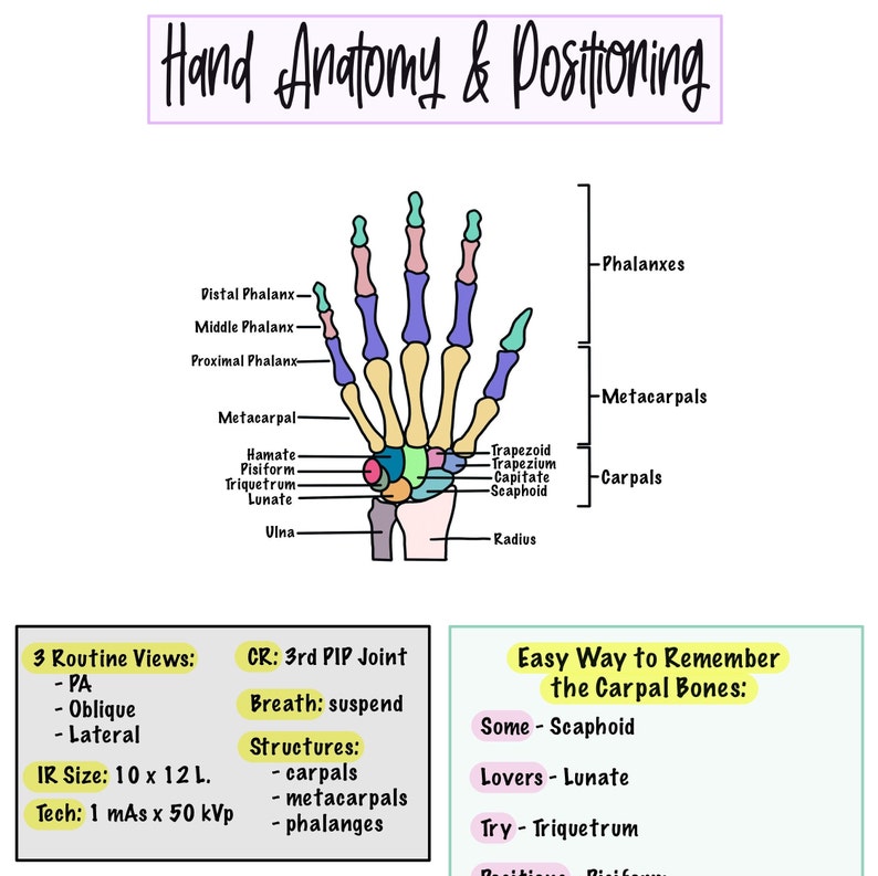 Hand Cheat Sheet - Etsy