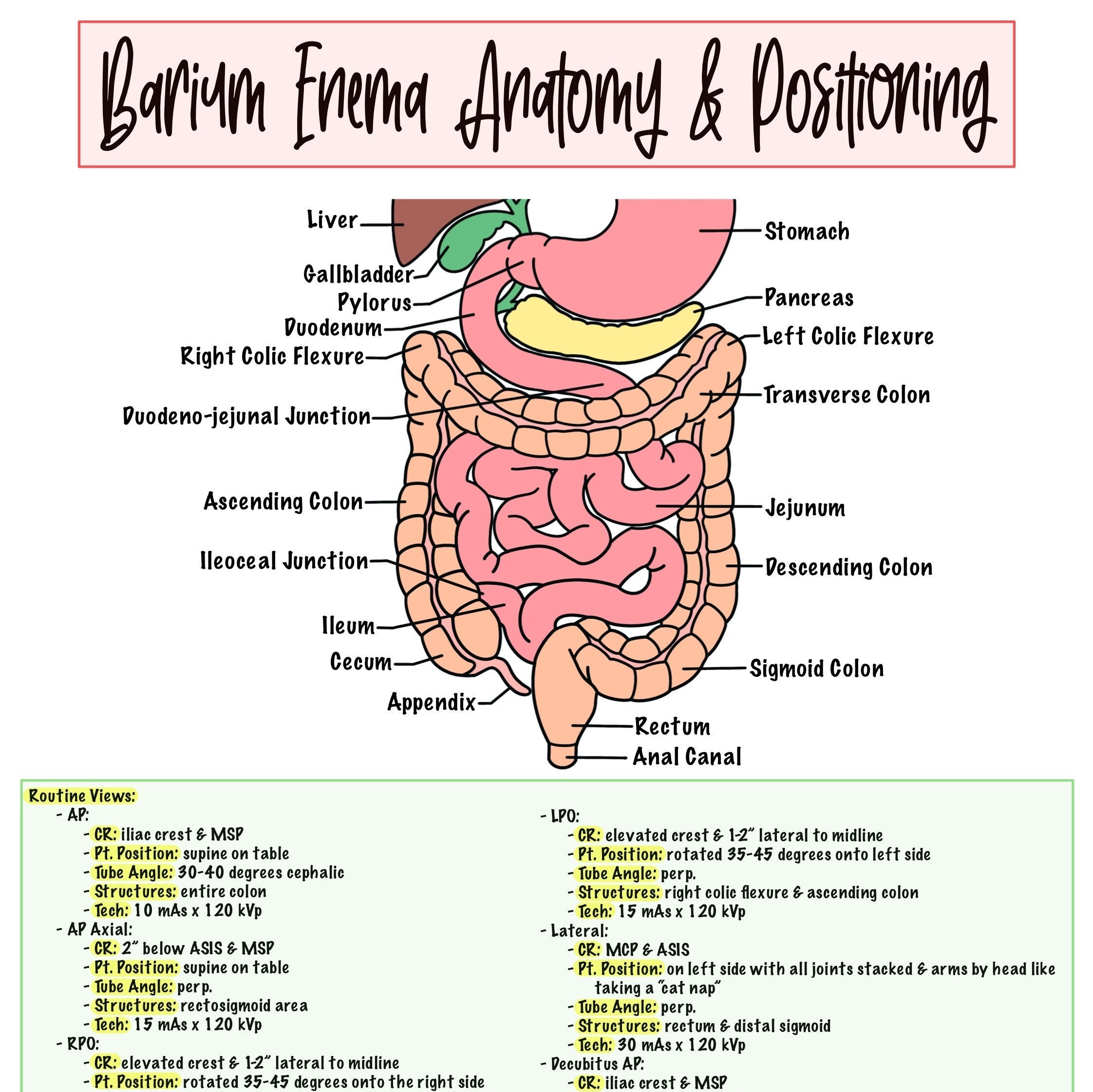Barium Enema Fluoro Cheat Sheet - Etsy