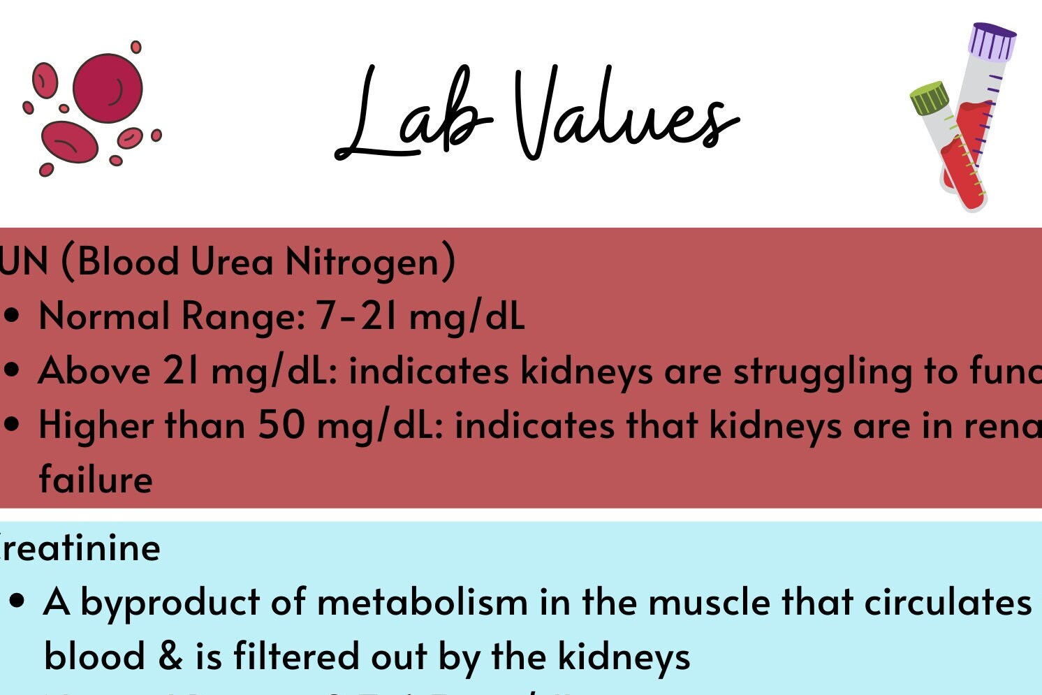 Lab Values Study Sheet - Etsy