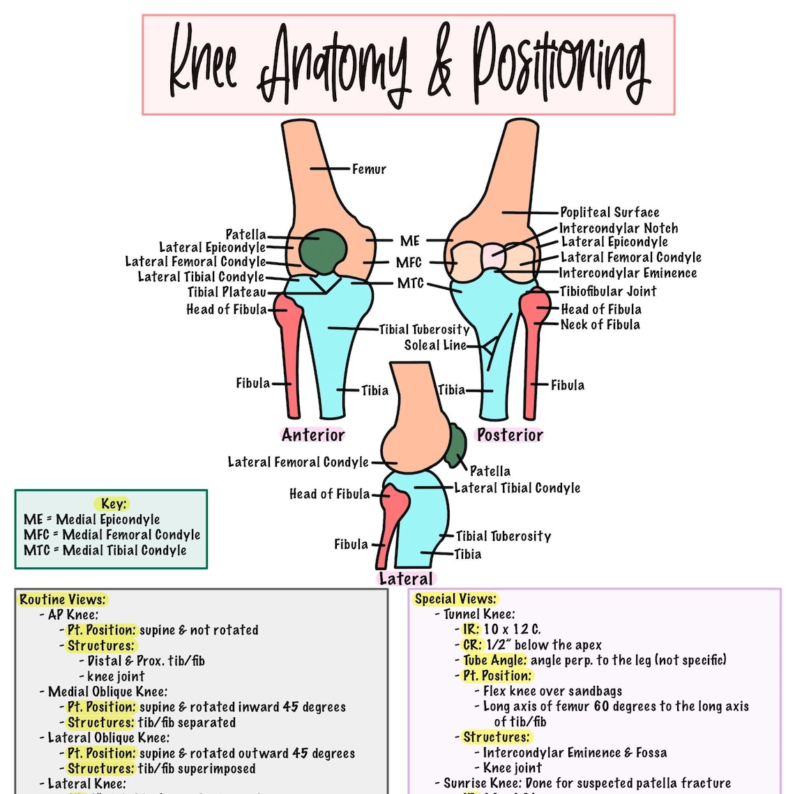 Knee Cheat Sheet - Etsy Canada