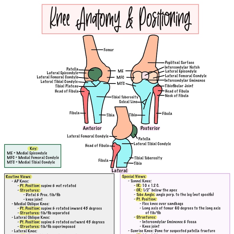 Knee Cheat Sheet - Etsy