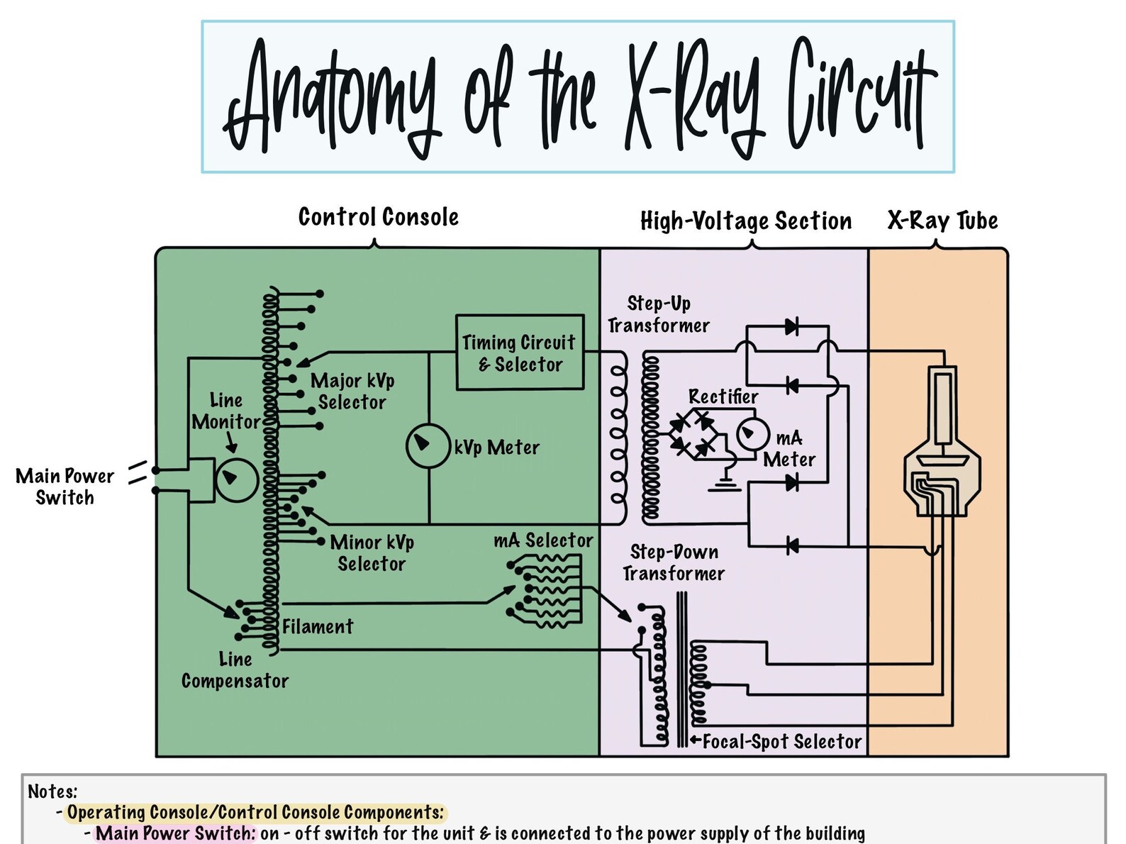 Anatomy of the X-ray Circuit - Etsy