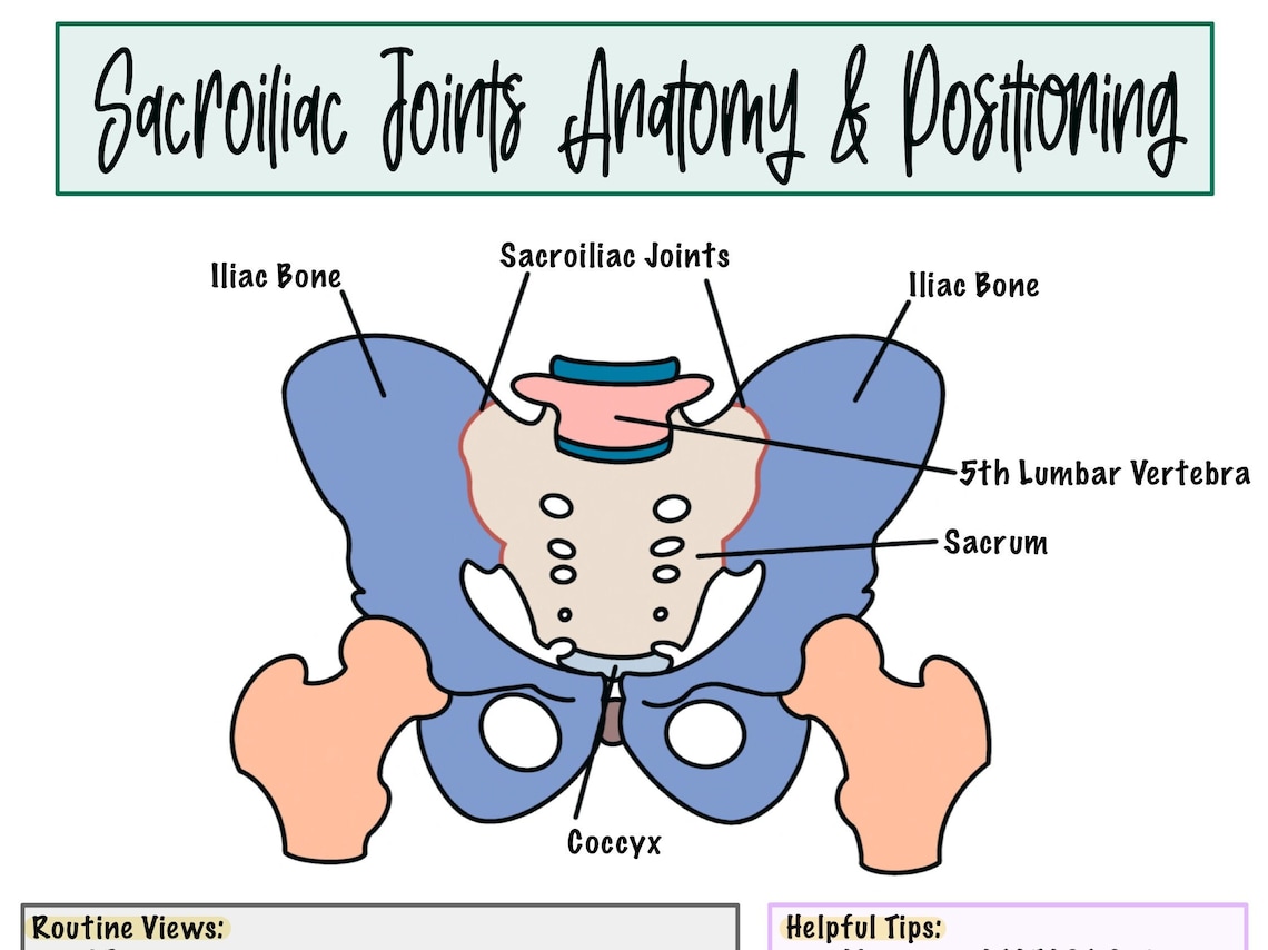 Sacroiliac Joints (SI Joints) Cheat Sheet - Etsy