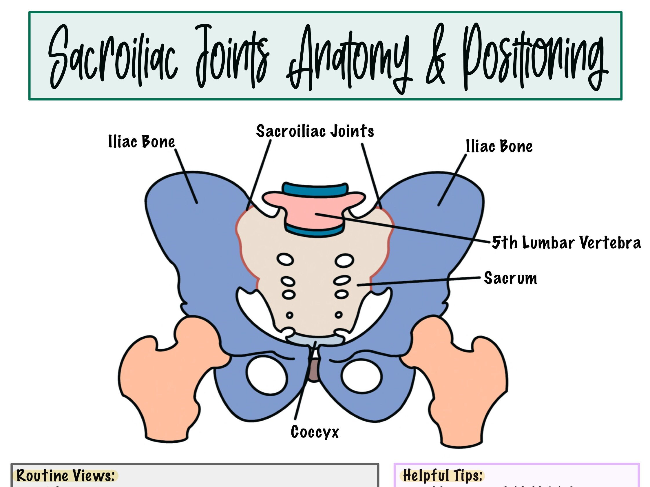 Si Joint Anatomy And Function Sacroiliac Joint Diagram Si-bo