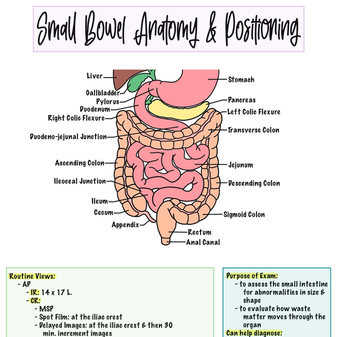 Small Bowel Fluoro Cheat Sheet - Etsy Australia