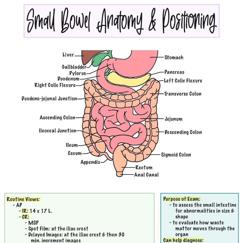 Small Bowel Fluoro Cheat Sheet - Etsy
