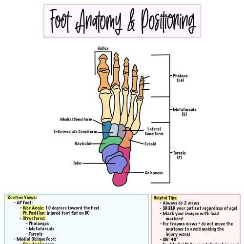 X-ray Contrast Cheat Sheet - Etsy
