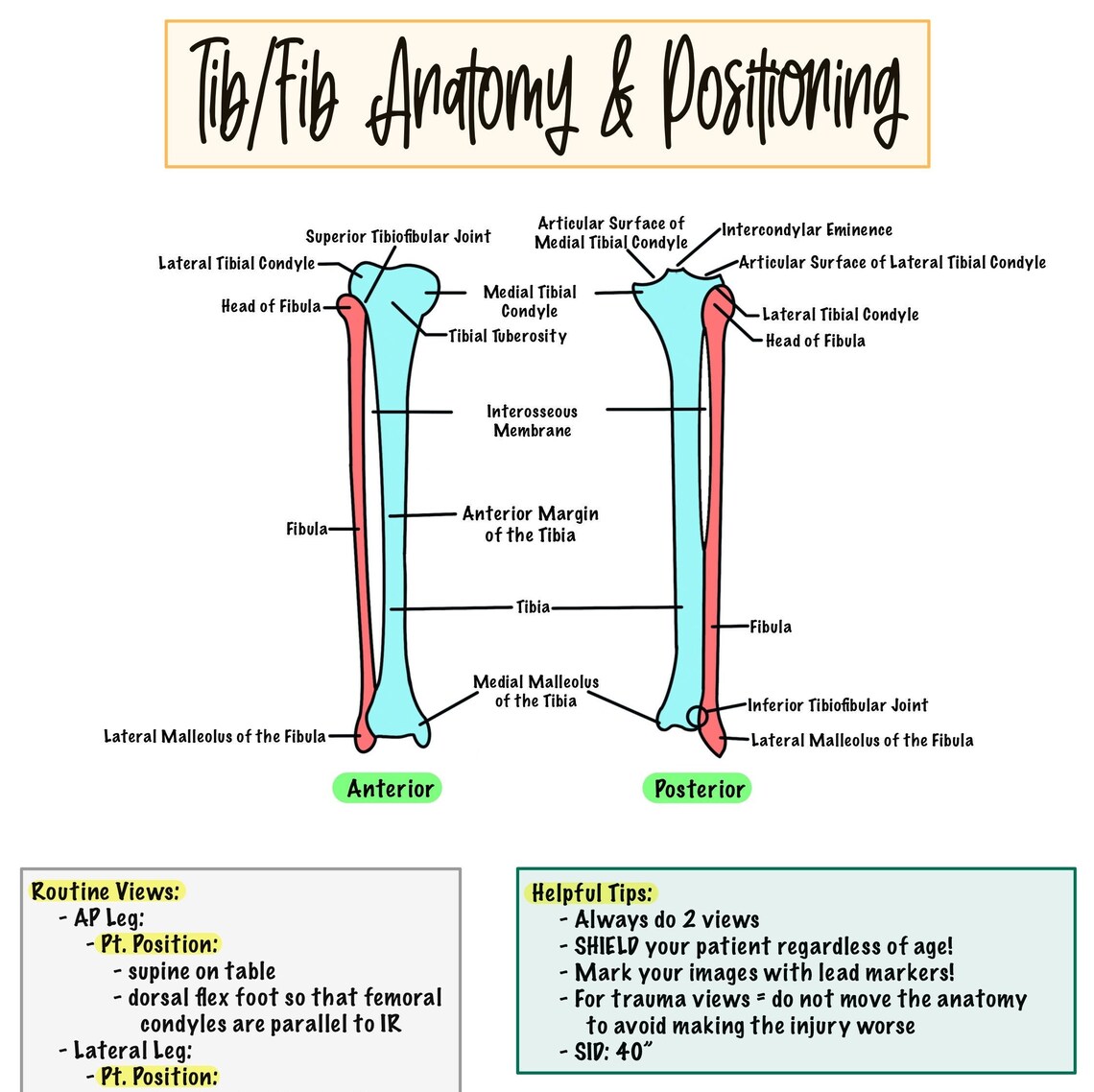 Tib/fib Cheat Sheet - Etsy