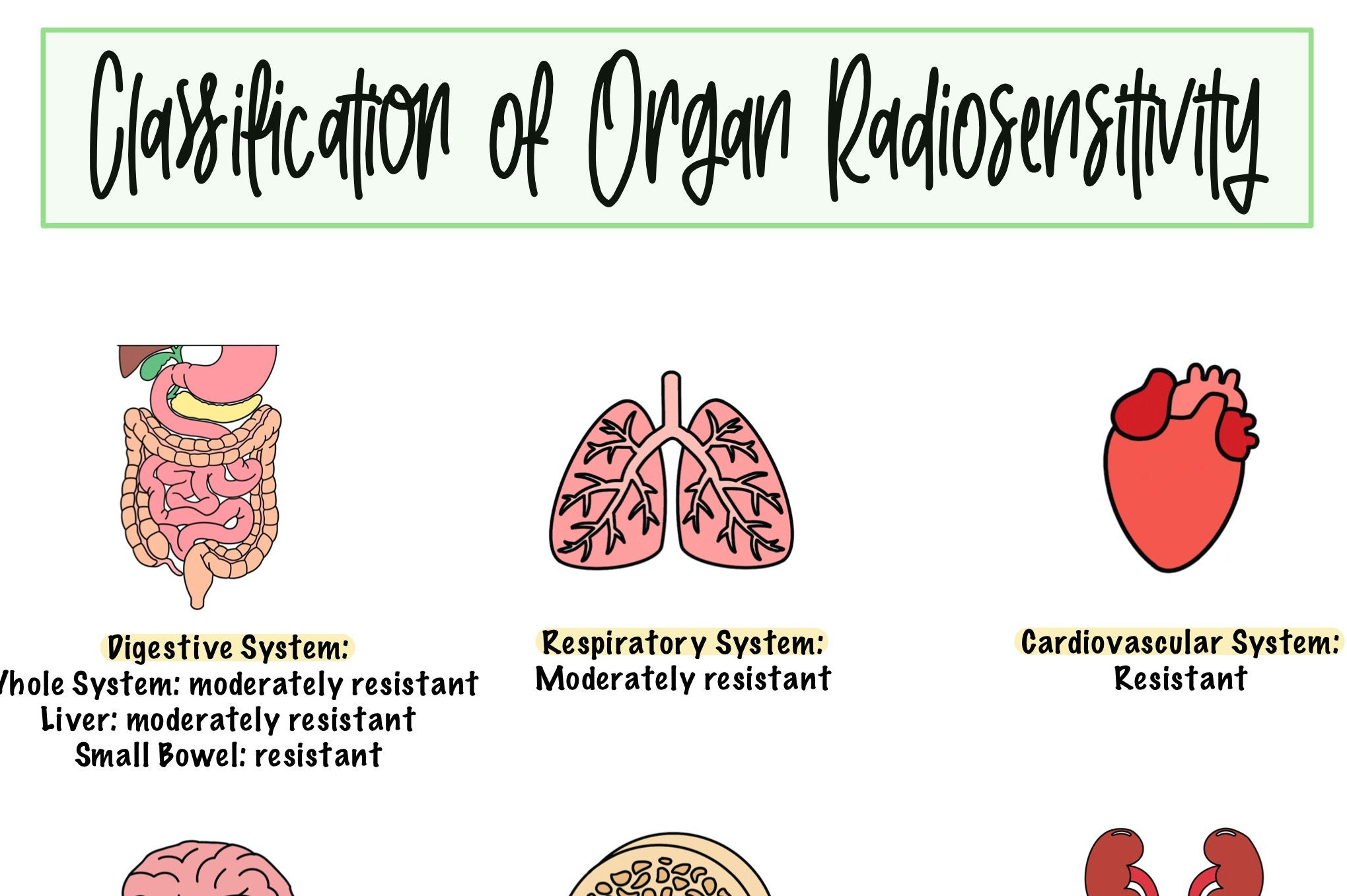 Classification of Organ Radiosensitivity Cheat Sheet - Etsy