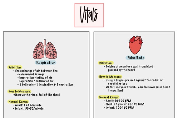 Vitals Cheat Sheet - Etsy