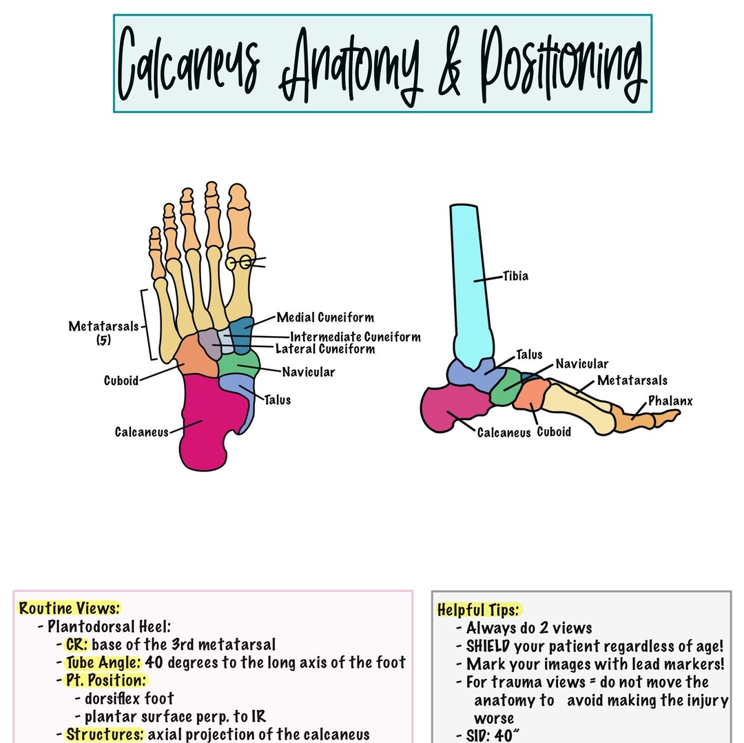 Heel Cheat Sheet - Etsy
