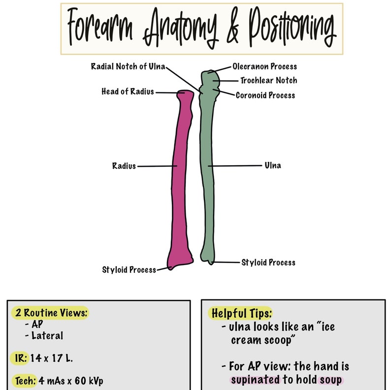 Forearm Cheat Sheet - Etsy