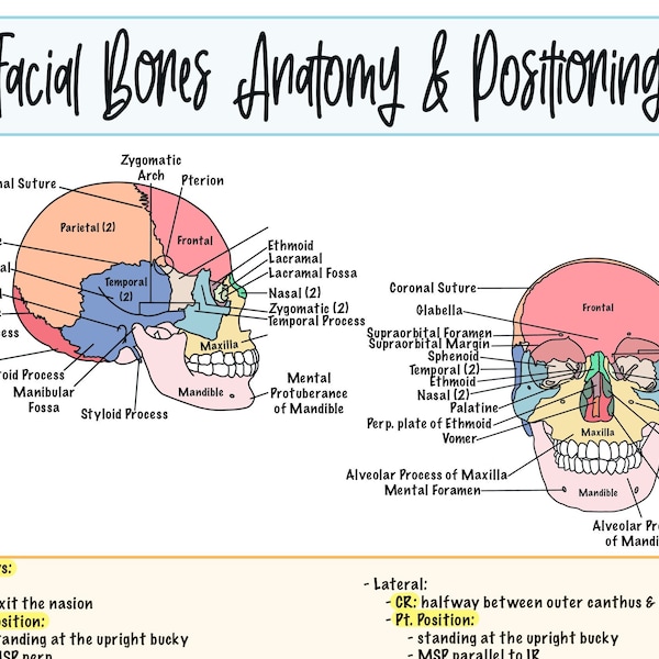 Facial Cheat Sheet - Etsy