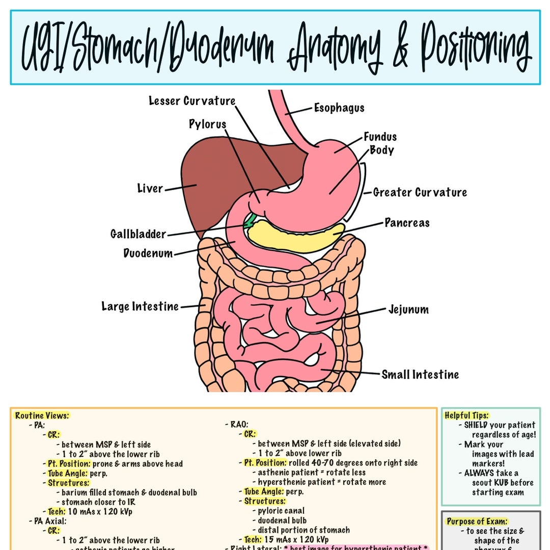 Ugi/stomach/duodenum Fluoro Cheat Sheet - Etsy Canada