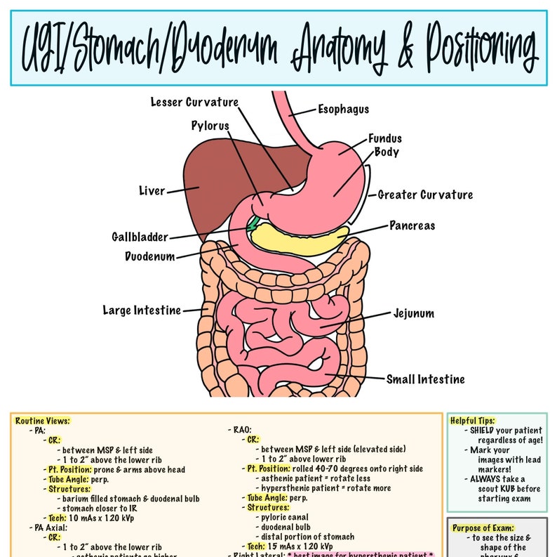 Ugi/stomach/duodenum Fluoro Cheat Sheet - Etsy