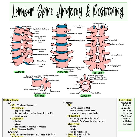 Lumbar Spine Cheat Sheet - Etsy Ireland