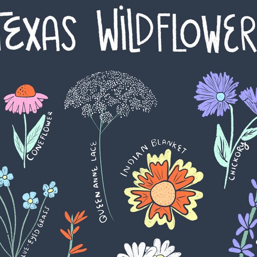 Botanical Texas Red Wildflower Poster - Etsy