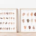 ASL Classroom Posters Set of Two Prints American Sign Language Alphabet ...