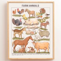 Farm Animal Numbers Poster: Barnyard Classroom Decor (digital Download ...