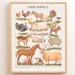 Farm Animals Educational Posters Homeschool Classroom - Etsy