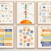 Male Reproductive System Learning Bundle Human Anatomy Busy Bundle ...