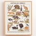Australian Animals Educational Posters, Printable Montessori Materials ...