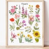 Watercolor Fruit and Vegetable Prints Classroom Educational Posters ...