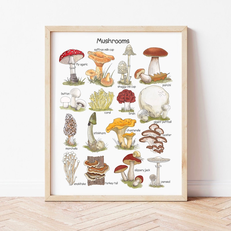 Mushroom Poster - Etsy
