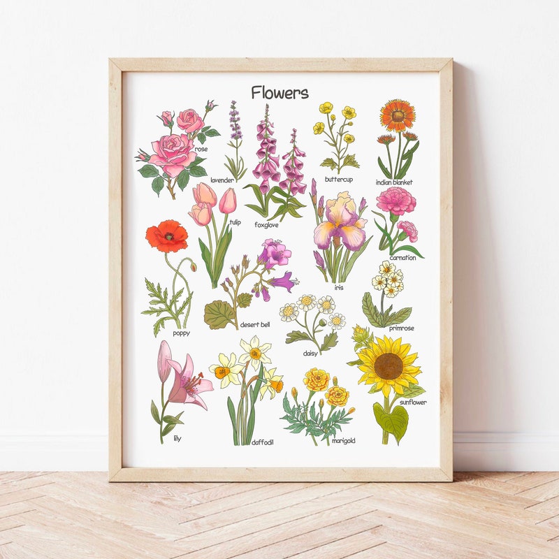 Flower Poster - Etsy Australia