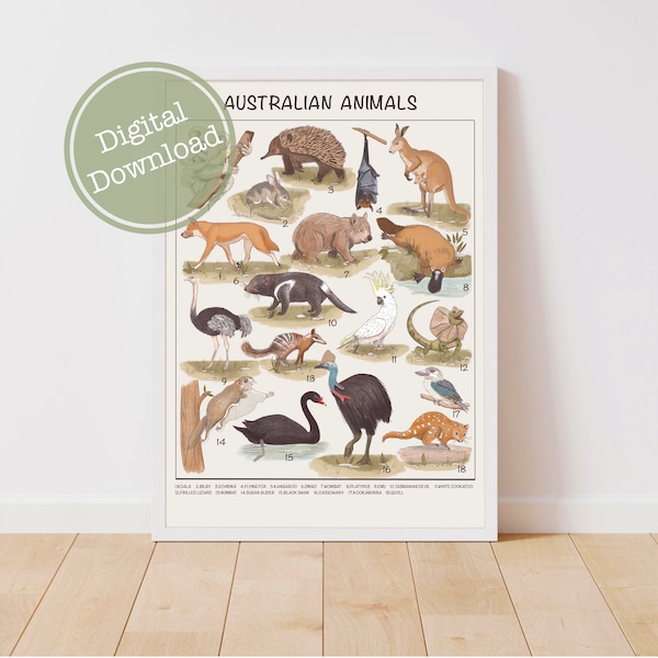 Australian Animals Poster - Etsy