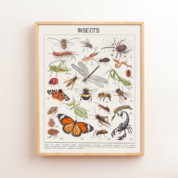 Insect Poster - Etsy