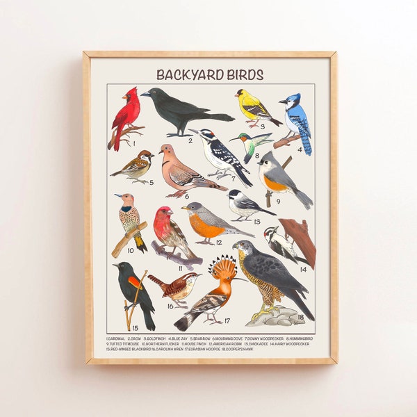 Bird Poster - Etsy