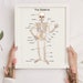 Human Skeleton Poster for Kids Human Bones Downloadable Prints | Etsy