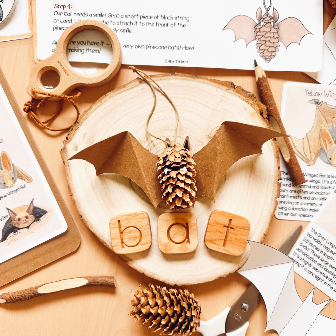 Bats Unit Study Homeschool Fall Activities Bat Anatomy & Life Cycle ...