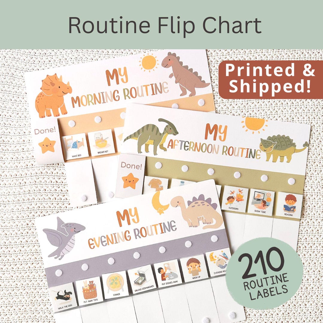 Daily Flip Chart - Personalized Morning Afternoon Evening Daily Routine ...