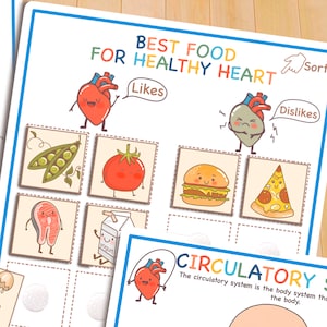 Human Anatomy Study Bundle, Anatomical Heart Homeschool Curriculum ...