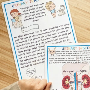 Human Urinary System Learning Bundle Human Body Unit Study Preschool ...