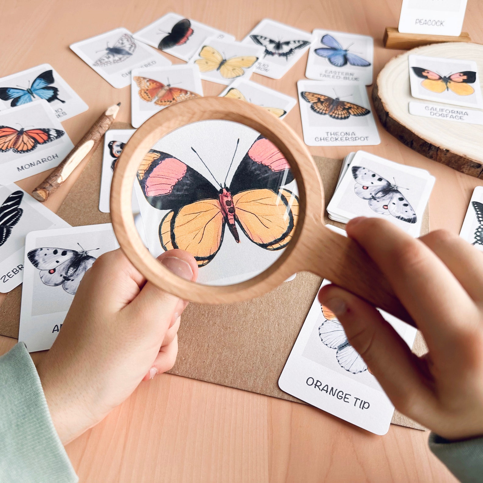 Butterfly Flash Cards Montessori Printable Homeschool Resources Toddler ...