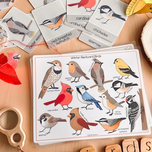 Winter Backyard Birds Unit Study Charlotte Mason Homeschool Learning ...